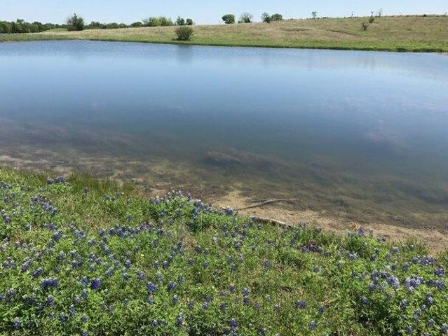 land Bleiblerville TX DLS93106406
