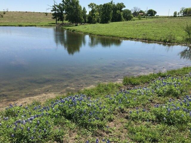 land Bleiblerville TX ES103500958