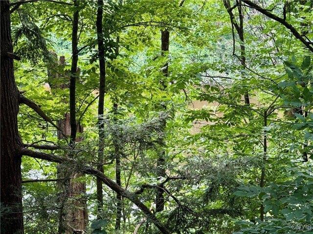 land Blossvale NY ES103627738