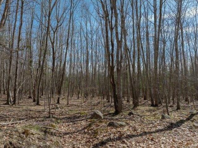 land Blue Hill ME DLS102157848