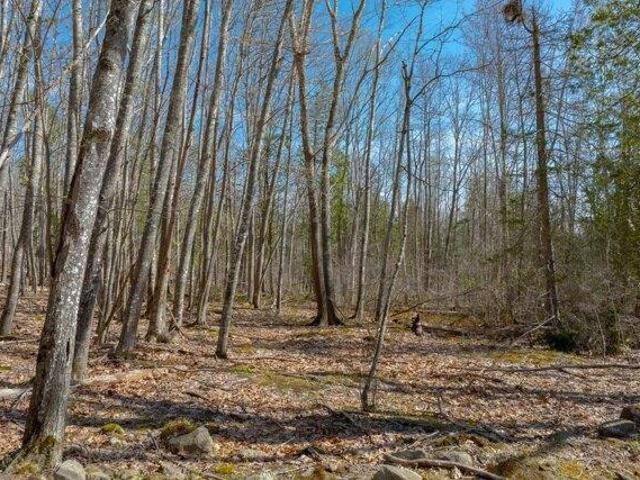 land Blue Hill ME ES105106504
