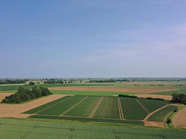 Land Boston Lincolnshire 95880649