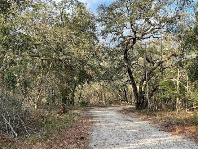 land Branford FL DS88210207
