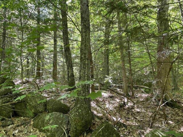 land Bradford NH DS102799368