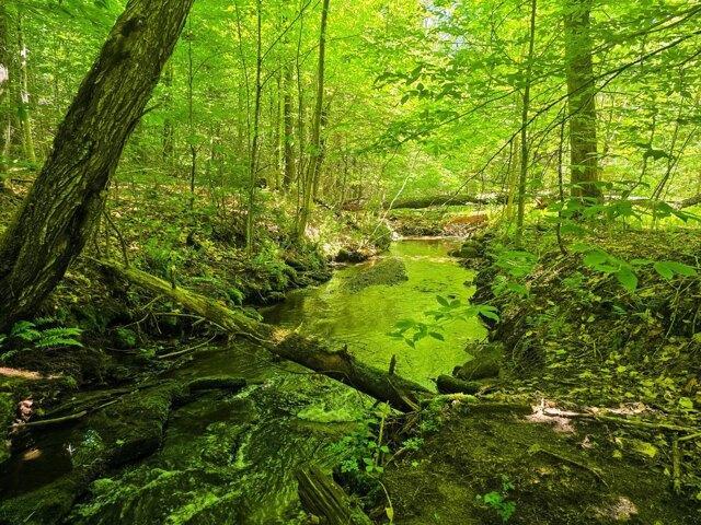 land Bradford VT DS104297766