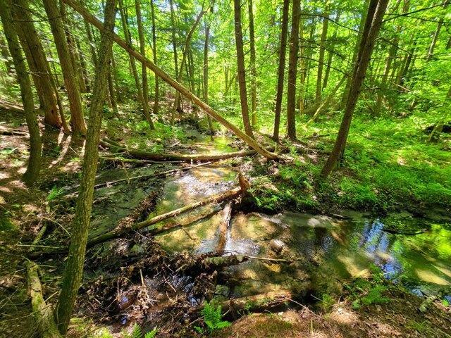 land Bradford VT ES105157804
