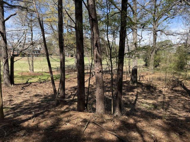 land Braselton GA DS101012032