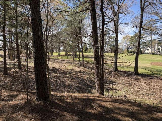 land Braselton GA ES101012032