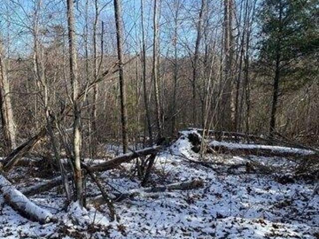 land Brimfield MA DS102922975