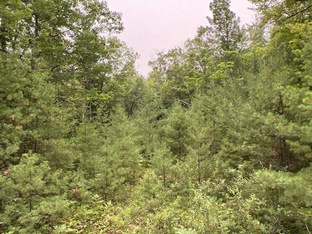 land Bridgton ME DS104299899