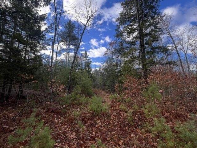 land Bridgton ME ES104330824