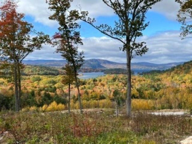 land Bristol NH DS102565774