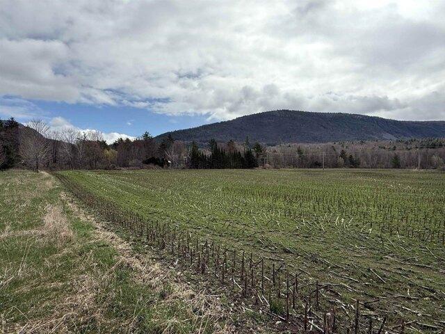 land Bristol VT ES104542067