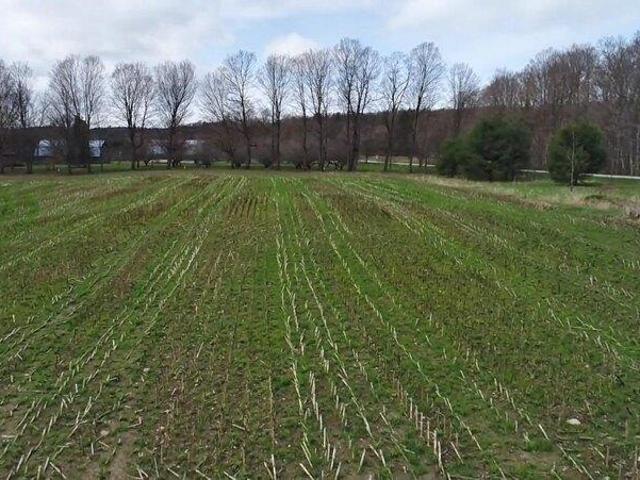 land Bristol VT ES105141604