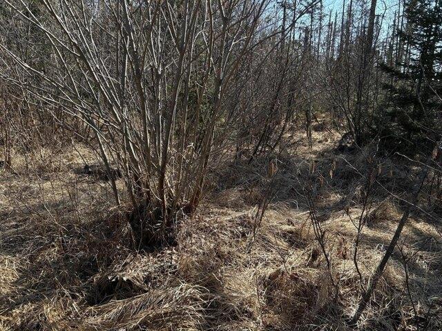 land Cushing ME DS102591598