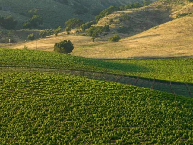land CA CA DLS101055234