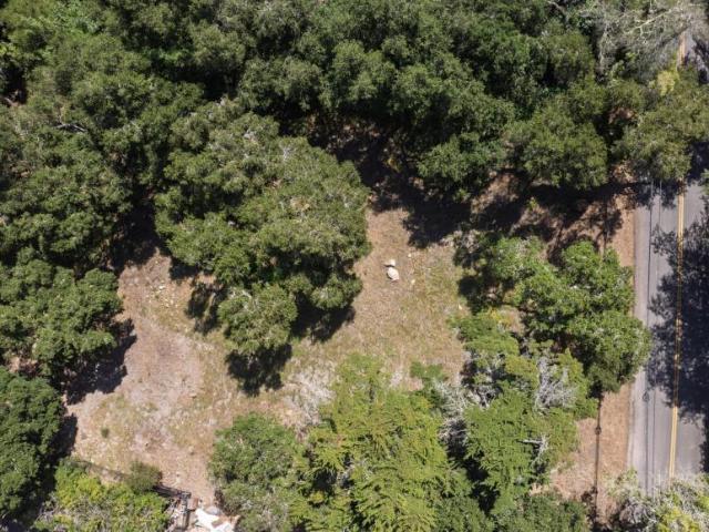 land CA CA DLS101882616
