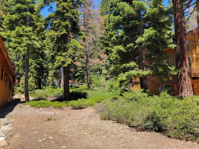land CA CA DLS101987011