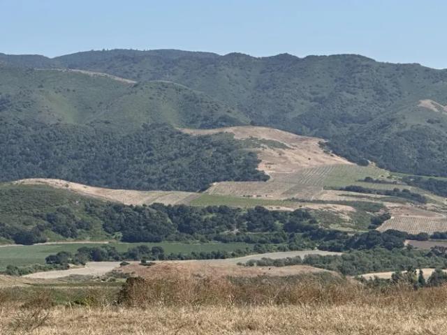 land CA CA DS102629612