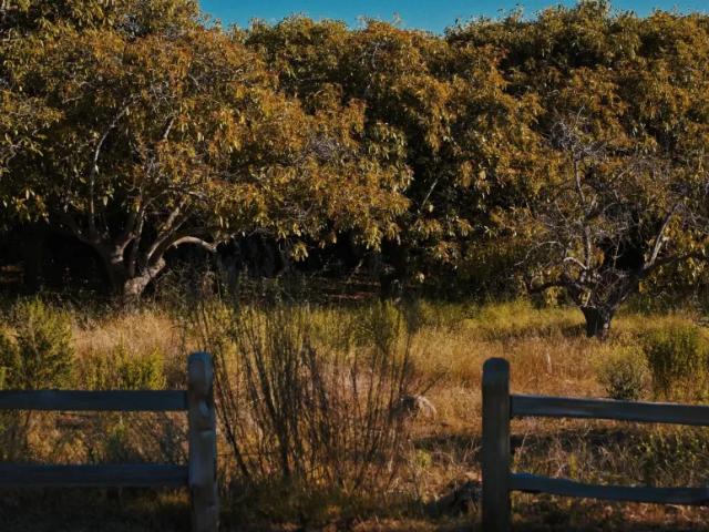 land CA CA ES102520734