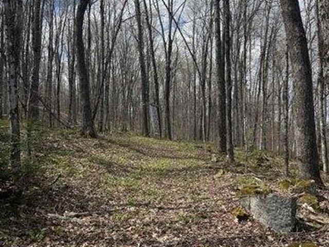 land Cabot VT ES104605066