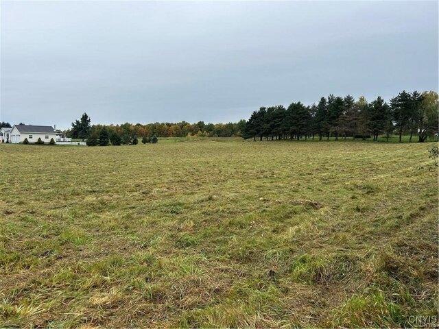 land Calcium NY DS100270365