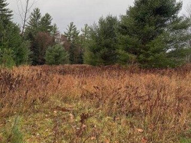 land Cambridge VT ES105115016