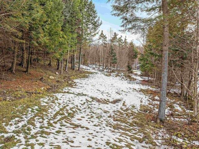 land Cambridge VT ES105115602