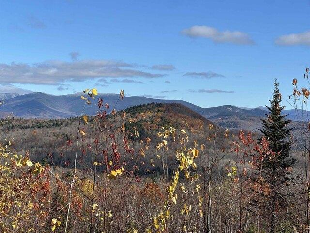 land Campton NH DLS102061418