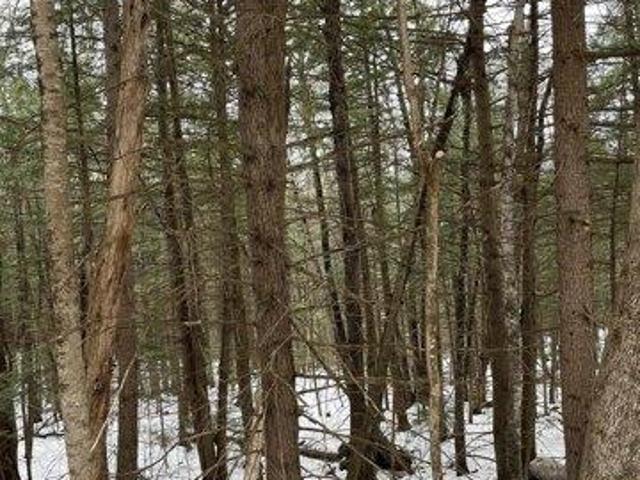 land Campton NH DS102027643