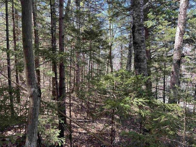 land Campton NH ES105202650