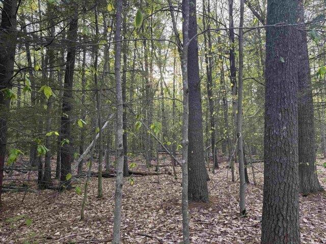 land Candia NH DS103034836