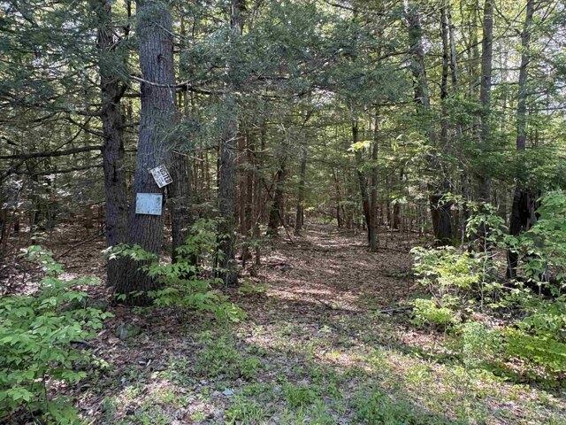 land Candia NH ES104010025