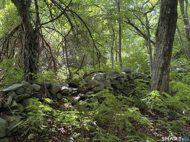 land Canterbury CT ES105114331