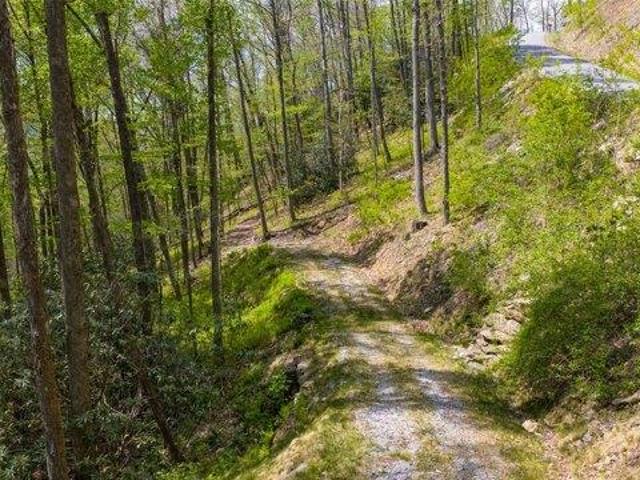 land Cashiers NC ES104909390