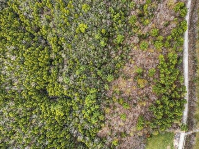 land Castleton VT DLS102726513