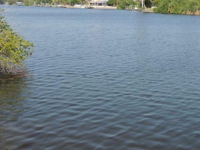 land Cape Coral FL DLS101011824