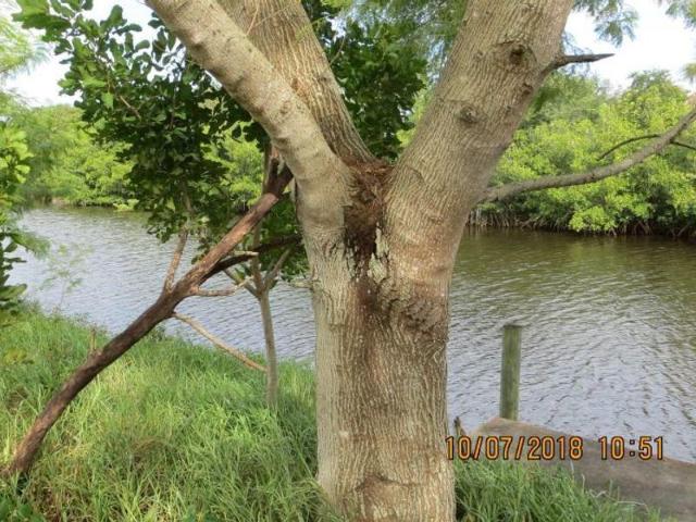 land Cape Coral FL ES101011813