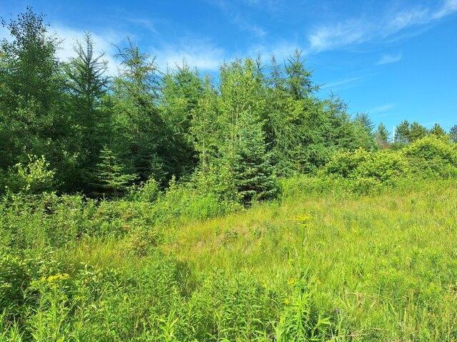 land Caribou ME ES103969823