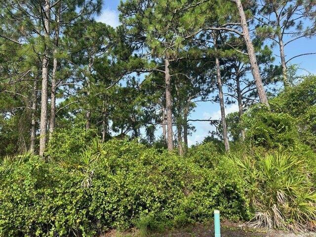 land Carrabelle FL DLS91820881