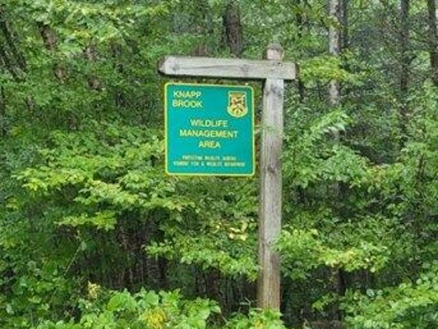 land Cavendish VT ES104190497