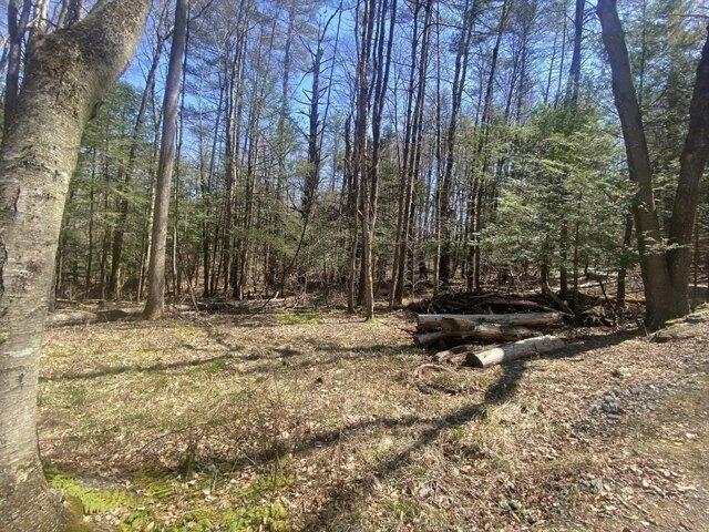 land Charlemont MA ES105144957