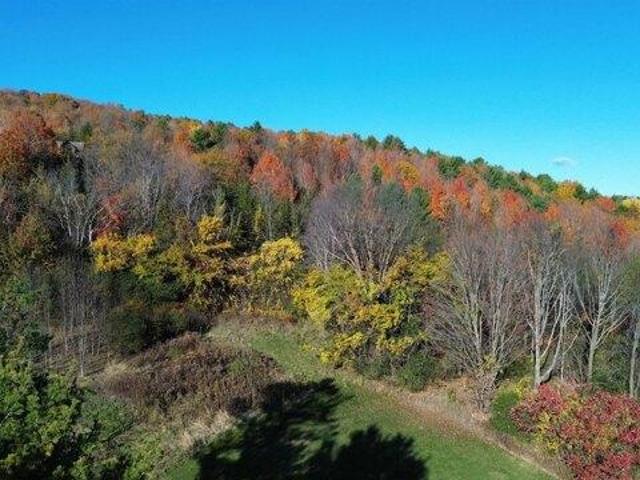 land Charlotte VT DS102444276