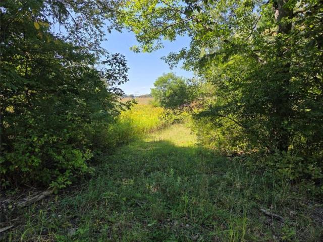 land Chenango Forks NY DS101252188