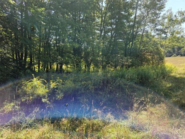 land Chenango Forks NY ES101252188