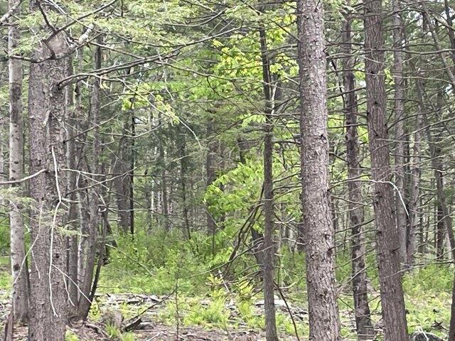 land Chesterville ME ES104569306