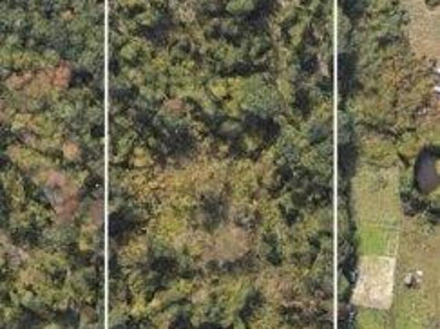 land Chester NH ES104789320