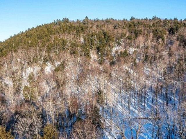 land Chester VT DLS102061570