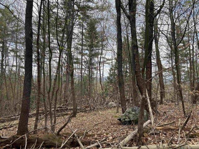 land Chester VT DS102157318