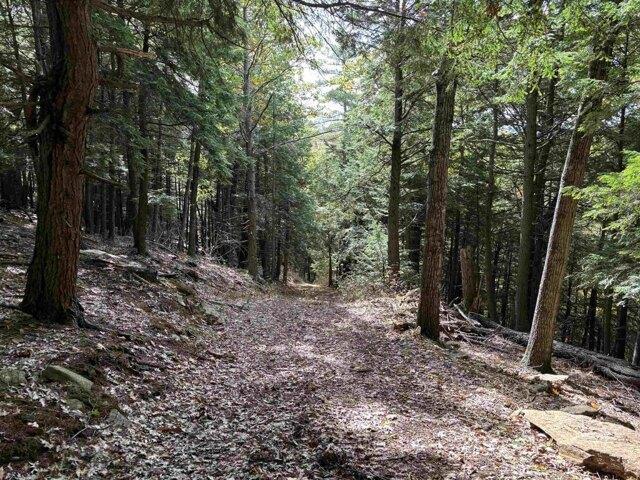 land Chester VT DS103497990